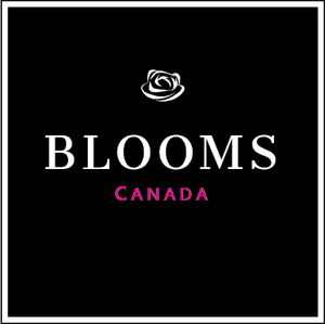 Digby Flower Delivery - Blooms Canada